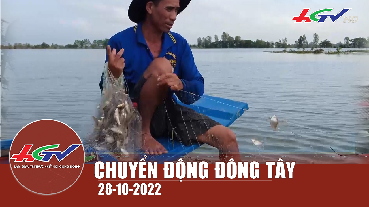 CHUYỂN ĐỘNG ĐÔNG TÂY 28/10/2022 | Mùa giăng lưới cá đồng - Truyền Hình ...