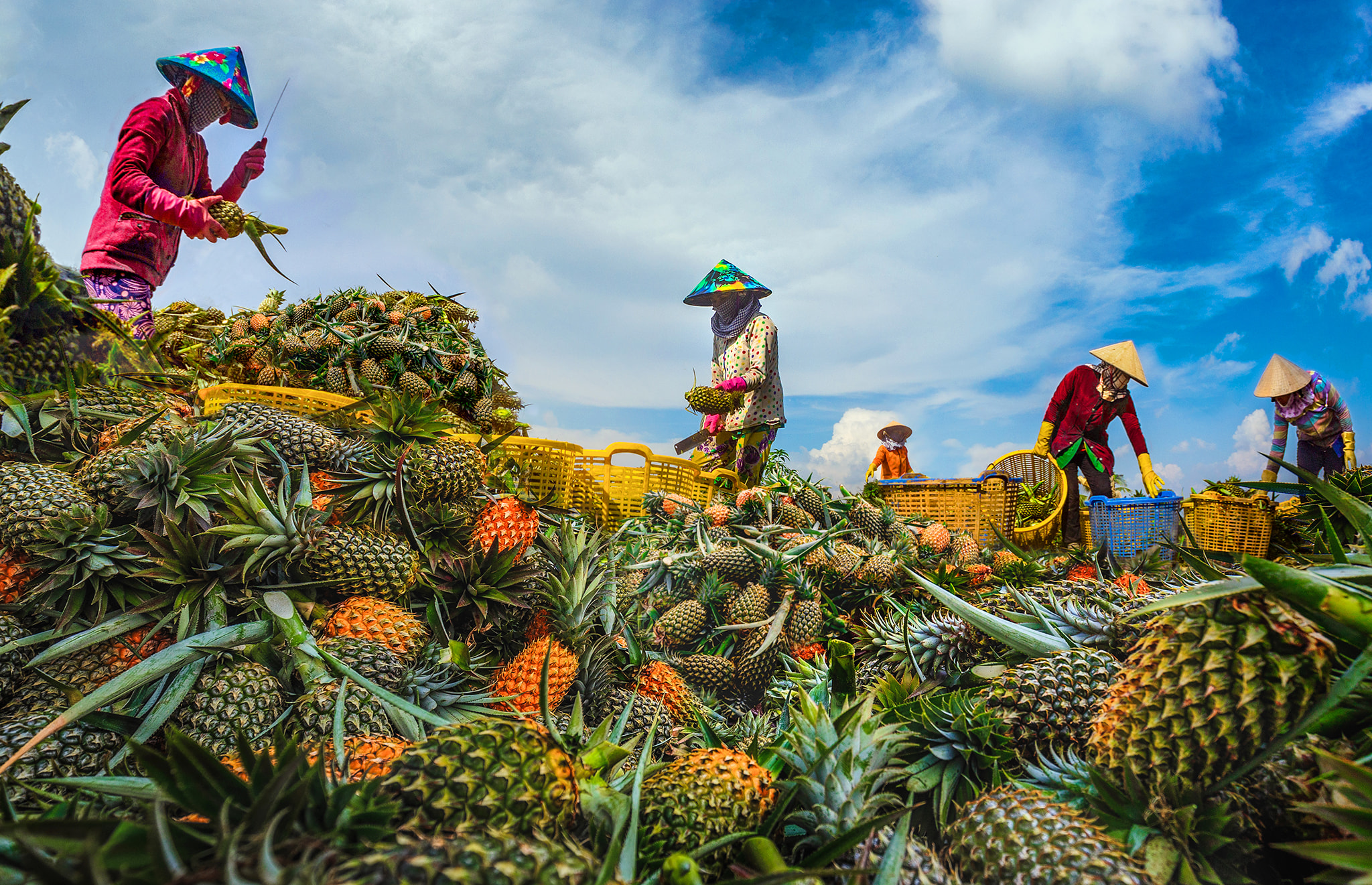 XÂY DỰNG VÀ PHÁT TRIỂN VĂN HÓA, CON NGƯỜI HẬU GIANG PHÁT TRIỂN NHANH VÀ ...