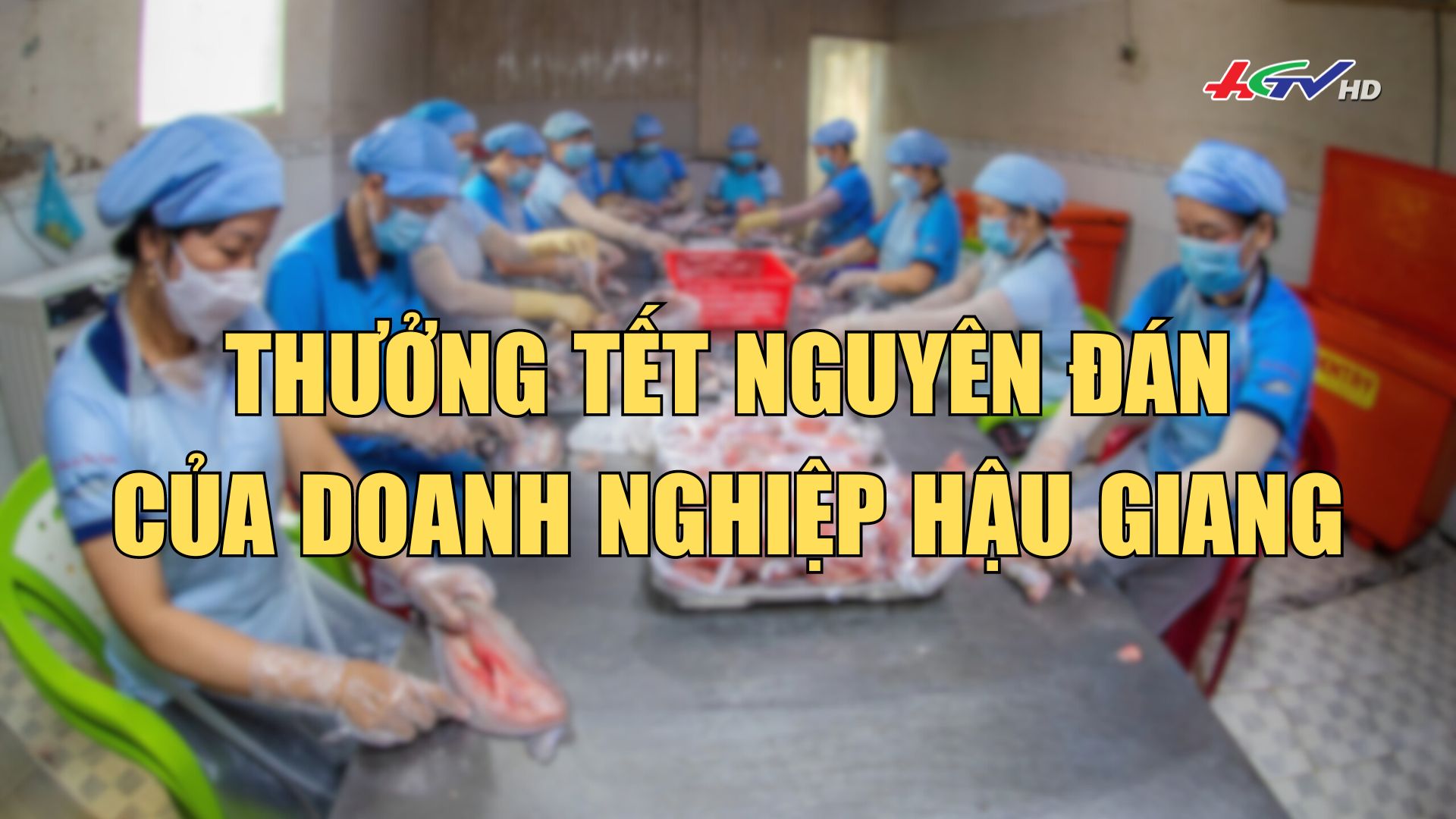 Thưởng Tết Nguyên đán của doanh nghiệp Hậu Giang cao nhất là 154 triệu ...