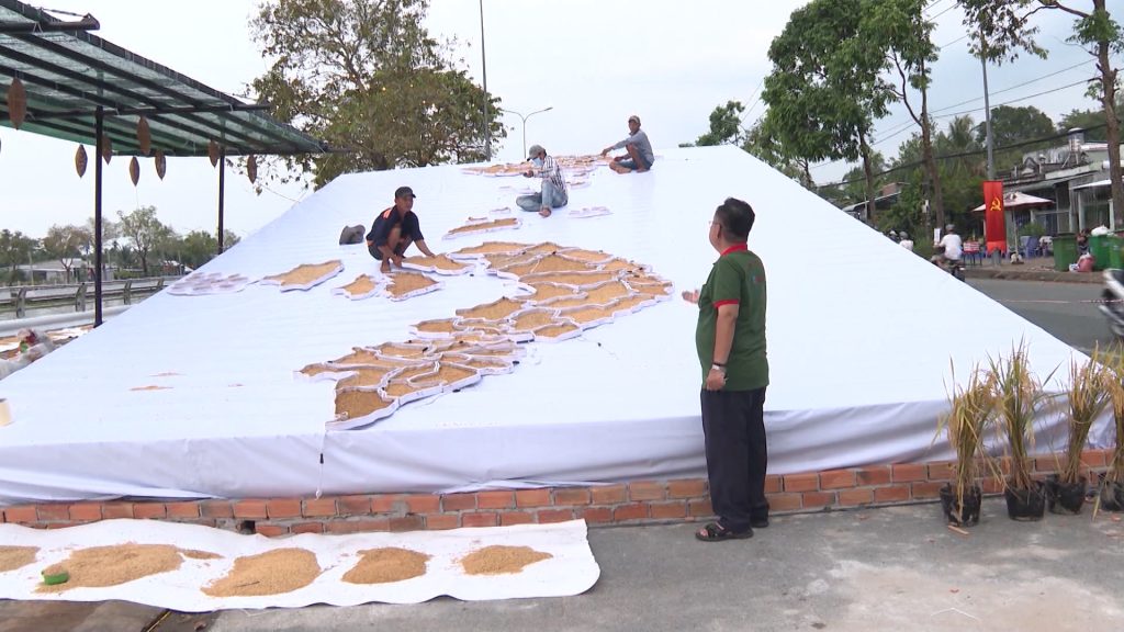 Độc đáo bản đồ lúa gạo Việt Nam - Truyền Hình Hậu Giang