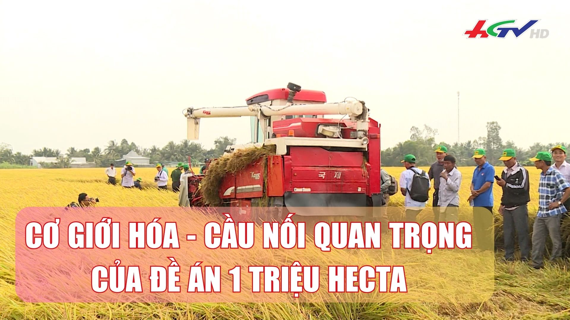 Cơ giới hóa - cầu nối quan trọng của đề án 1 triệu hecta - Truyền Hình ...