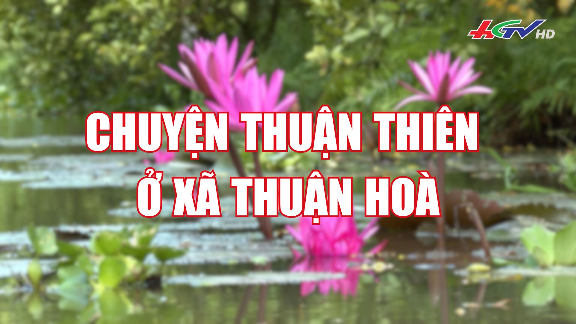 Chuyện thuận thiên ở xã Thuận Hoà - Truyền Hình Hậu Giang