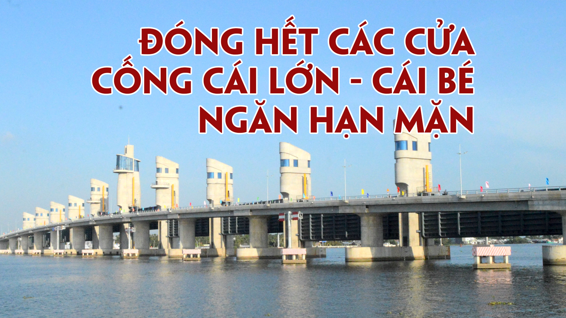 BƯỞI TƯƠI VIỆT NAM ĐƯỢC CẤP PHÉP VÀO MỸ - Truyền Hình Hậu Giang