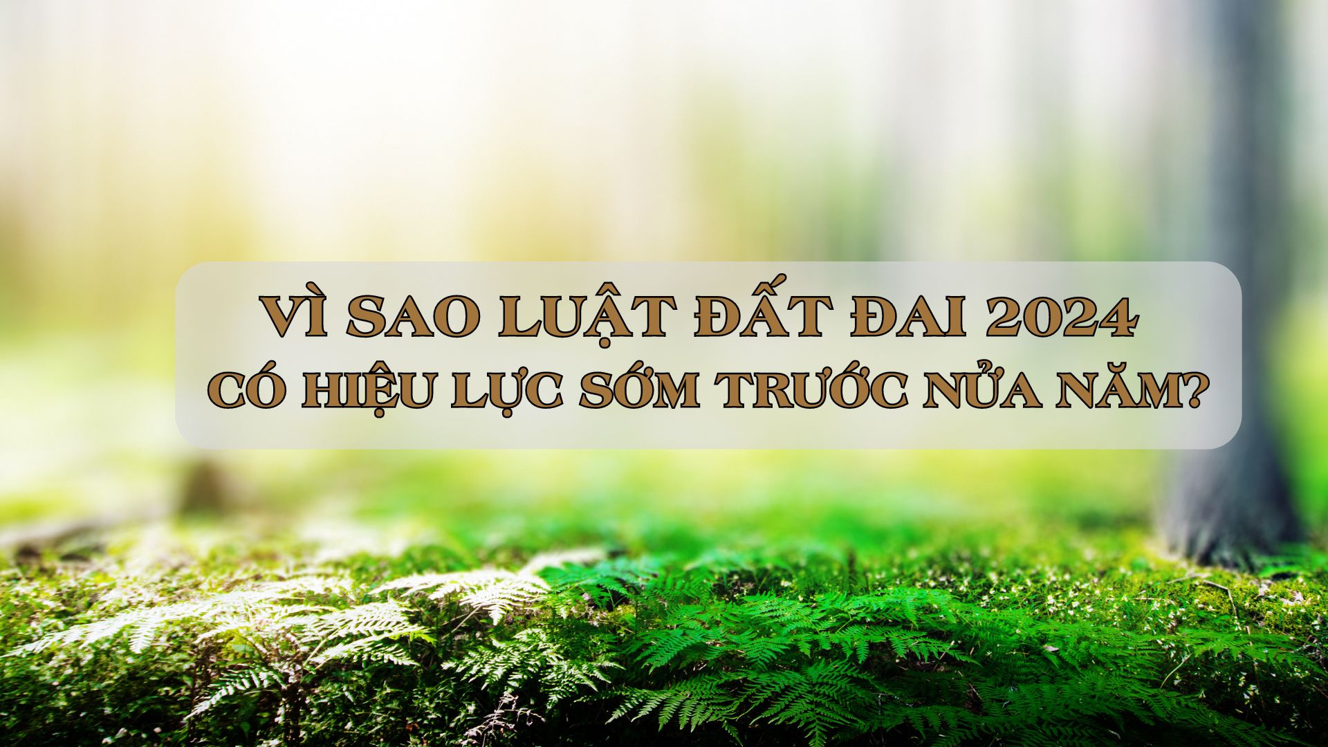 Vì sao Luật Đất đai 2024 có hiệu lực sớm trước nửa năm? - Truyền Hình ...